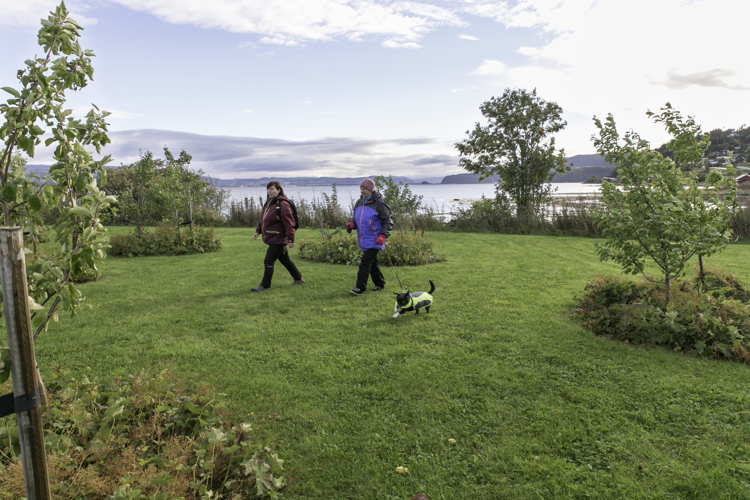 Savner du hage? Da bør du sjekke denne nyheten! - Trondheim 2030