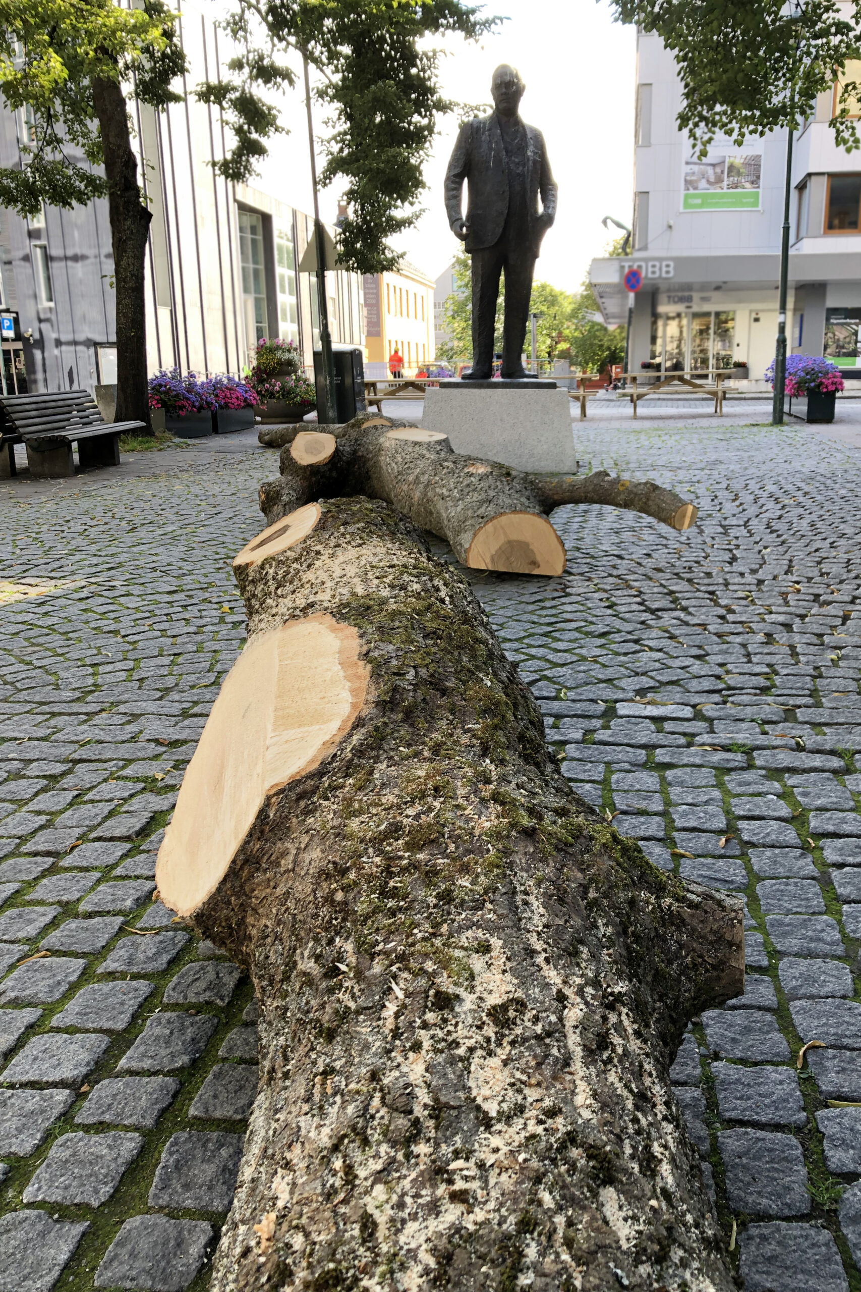 Hva skjer på Cicignon og Elsa Laula Renbergs plass? - Trondheim 2030