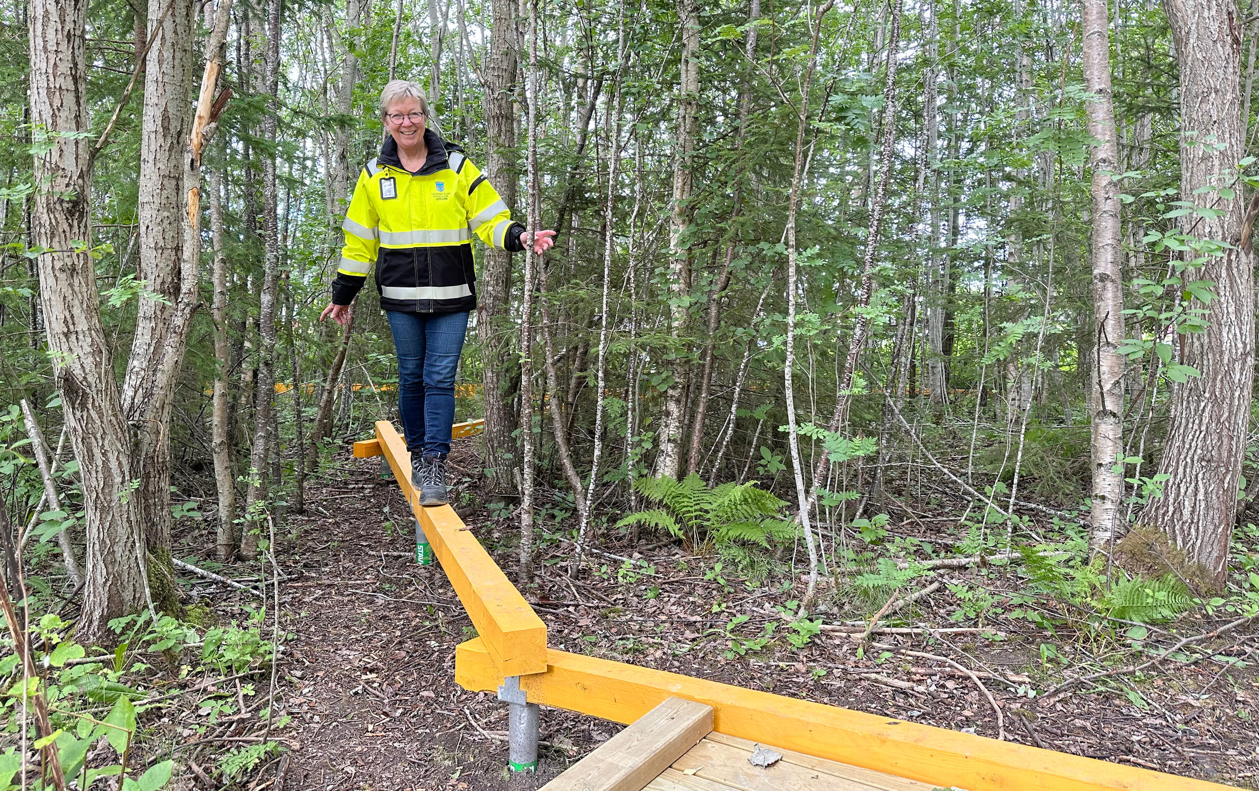 Skogsvillniss har blitt spennende balanseløype - Trondheim 2030