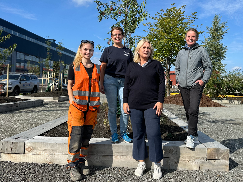 Nyhavna blomstrer med ny gangforbindelse - Trondheim 2030
